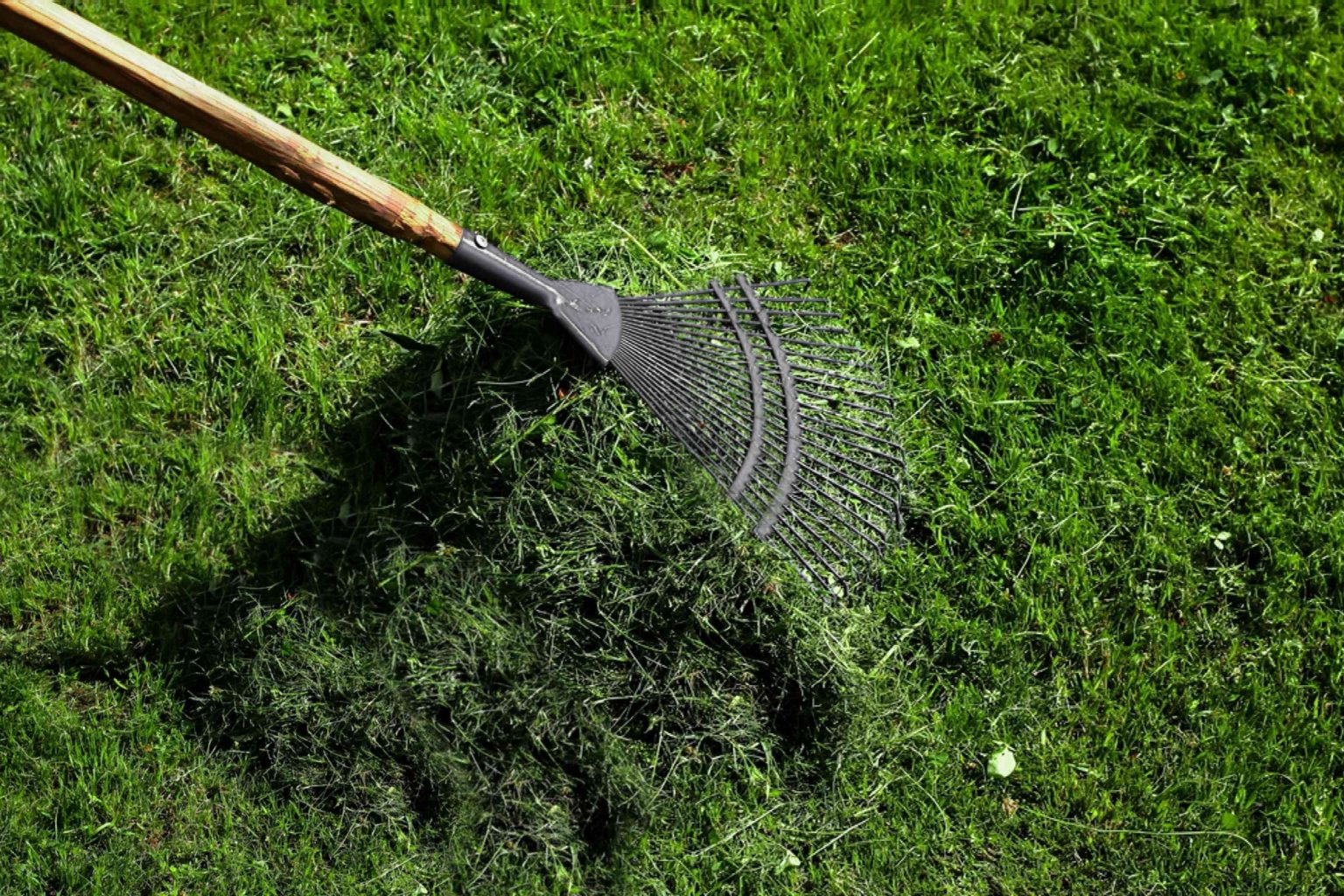 Can You Mow a Wet Lawn / Is It Bad to Cut Grass When Wet? - A View Turf