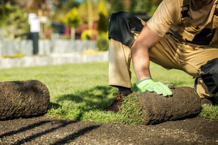 When Is the Best Time to Lay Turf?